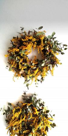 直前】銀葉ミモザアカシア(90cm程度)【生花】 - 花材通販はなど 直前】銀葉ミモザアカシア(90cm程度)【生花】 - 花材通販はなど
